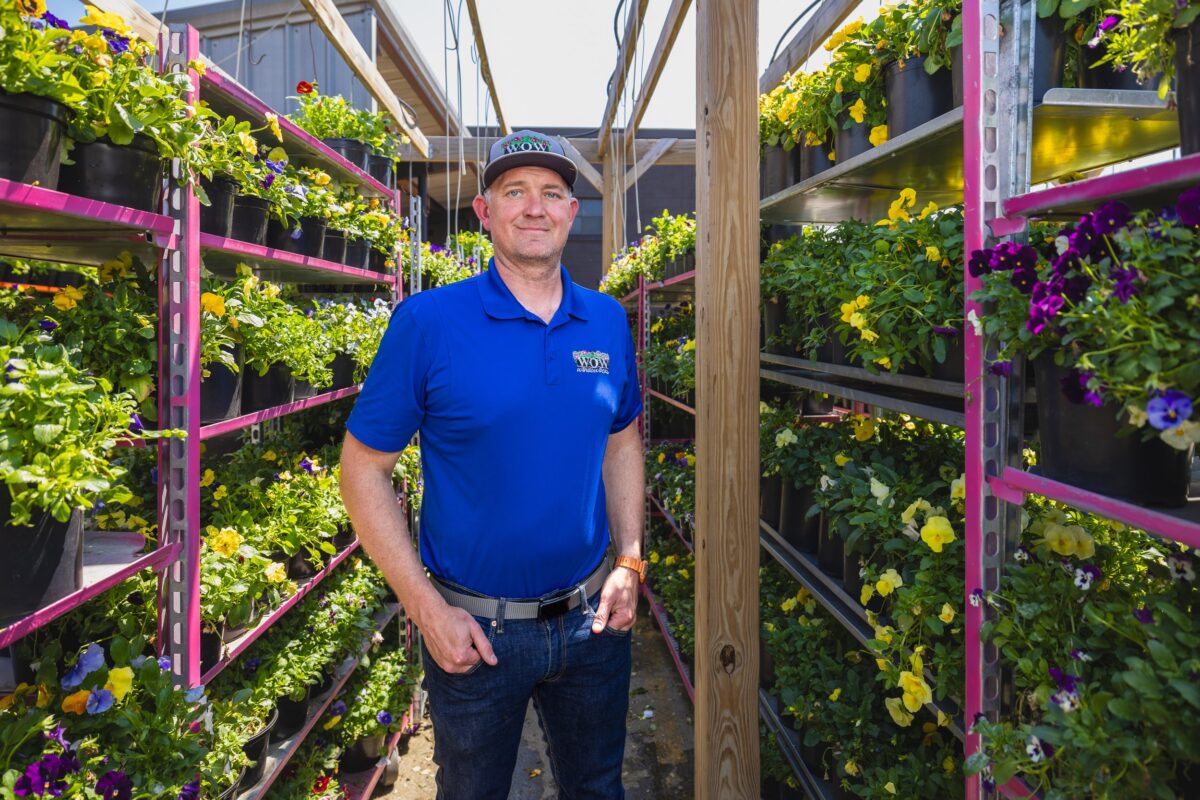 Nationwide Franchising Launch Update - WOW Windowboxes